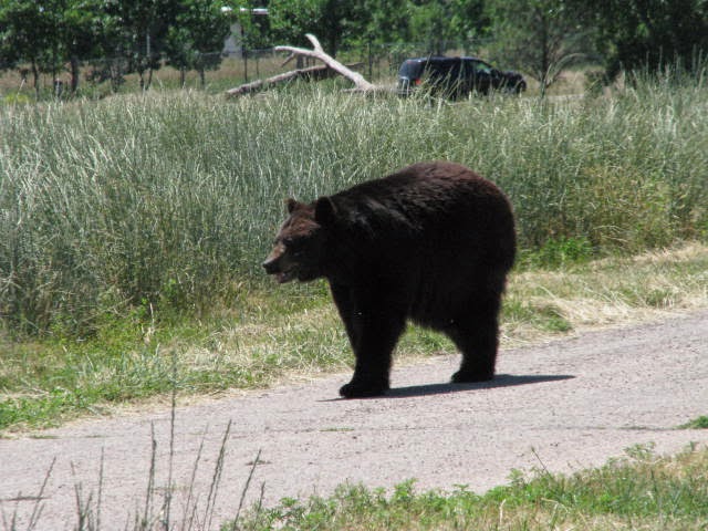 704 Houser Street: Pic's