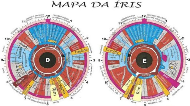 Os Olhos Revelam Sua Saúde: Mapa Iridológico