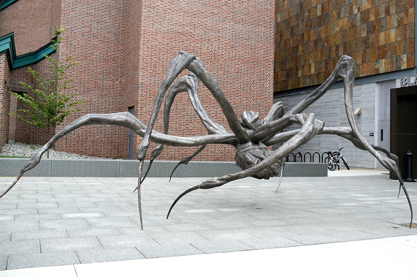 OTIS (Odd Things I've Seen): Spider, Spider Burning Bright: Louise ...