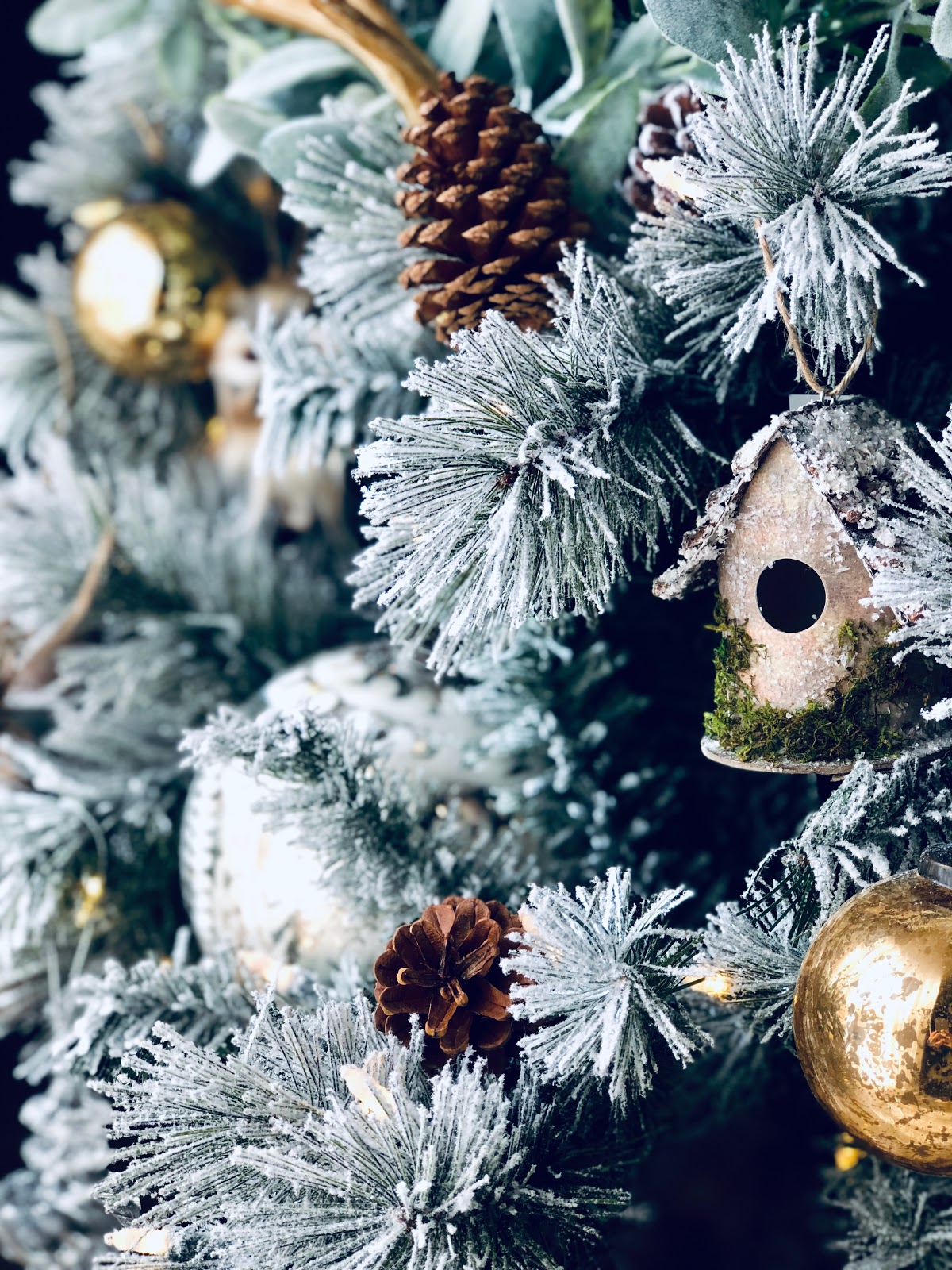 Rustic Winter Wonderland - Kunna by Karla