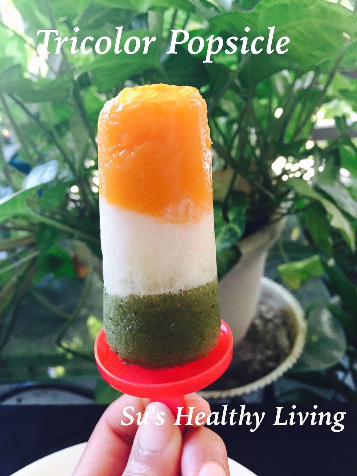 Su'sHealthyLiving: Tricolor Fruit Popsicles;Independence Day Special