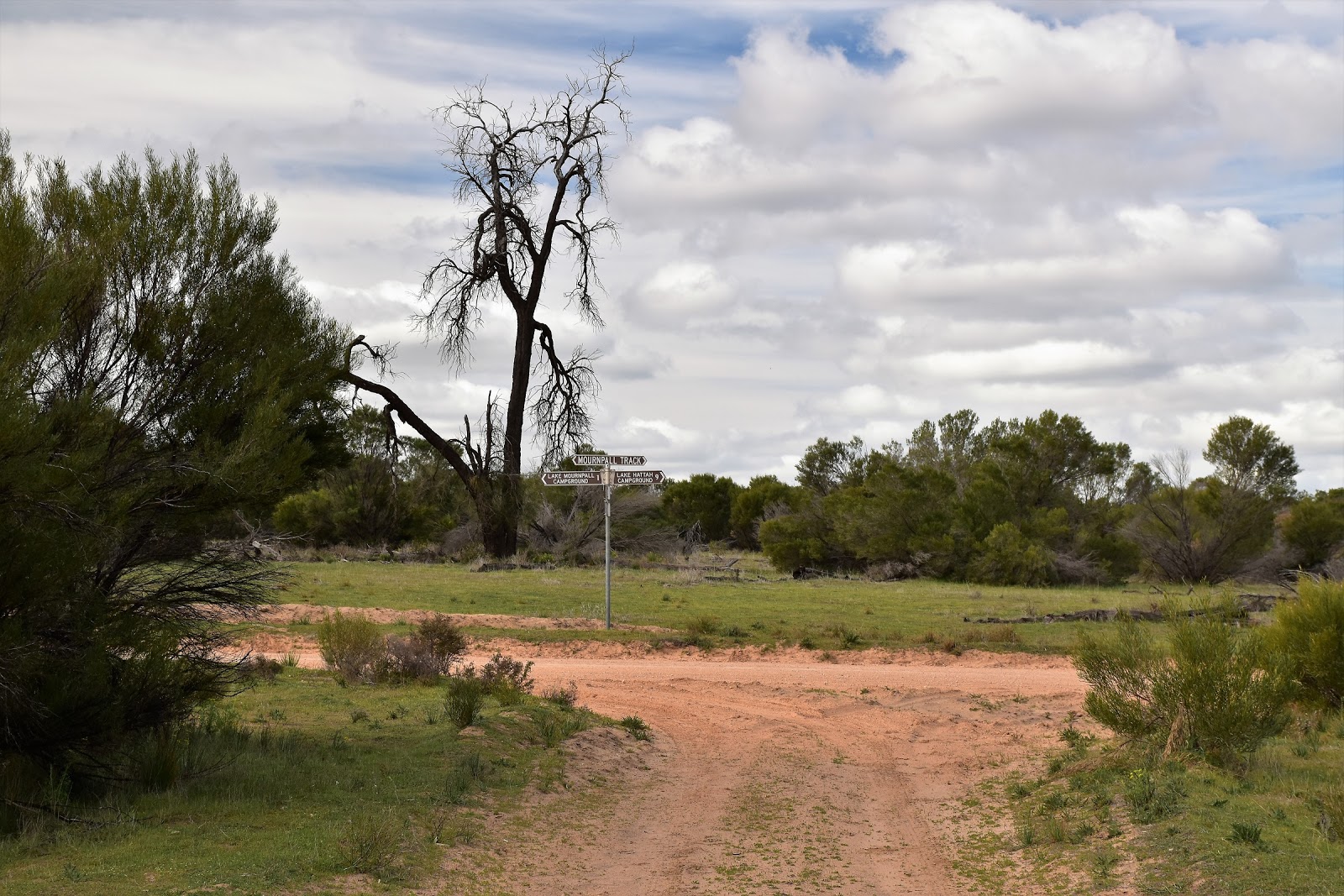 Goin' Feral One Day At A Time: Warepil Lookout Circuit, Hattah-Kulkyne ...