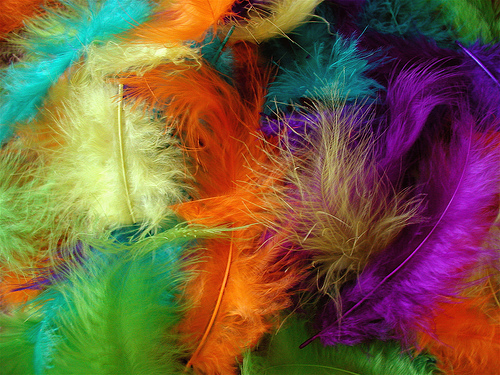 ☆Mágico y Celestial☆: La Pluma de un Ángel