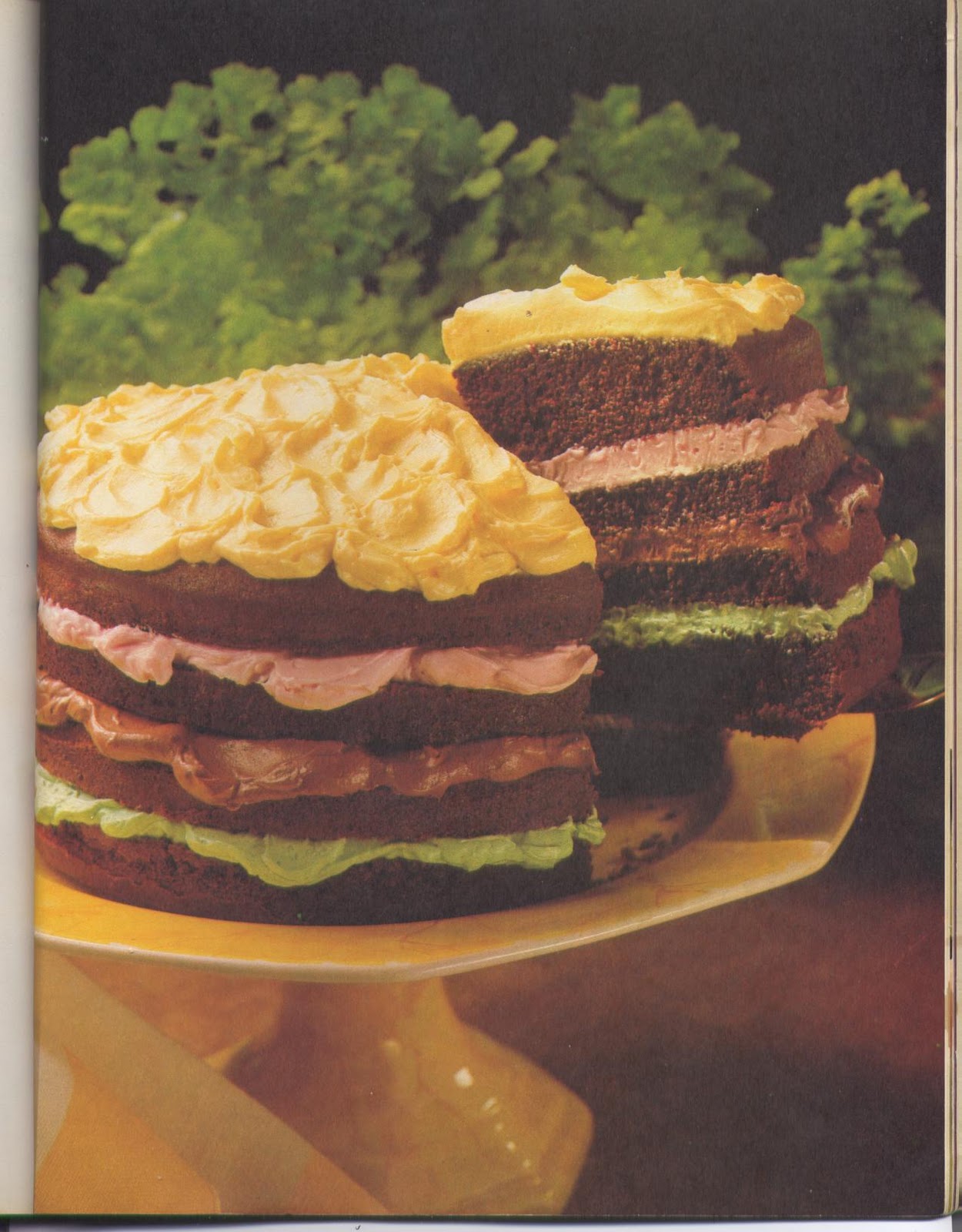 Simply Gail: the Creative Cheapskate: Rainbow 4-layer cake---elegant ...