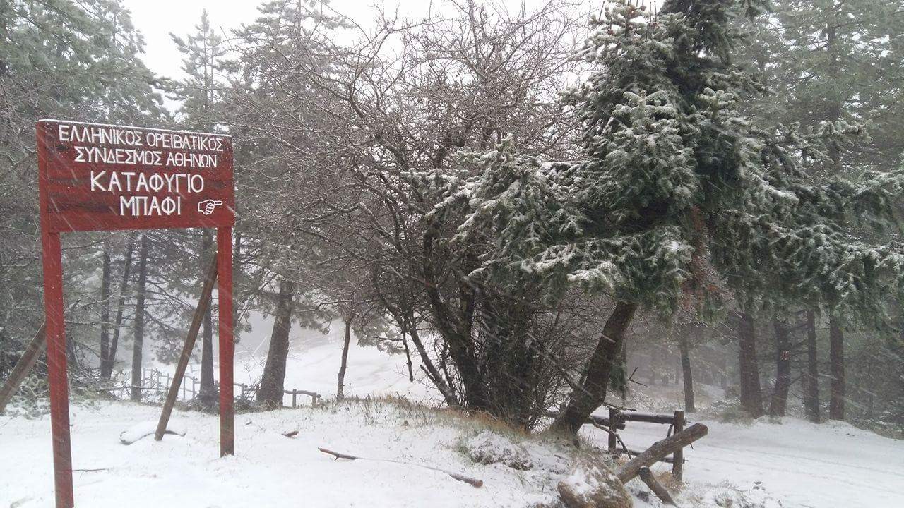 EΠΕΣΑΝ ΤΑ ΠΡΩΤΑ ΧΙΟΝΙΑ ΣΤΗΝ ΑΤΤΙΚΗ...ΣΤΑ ΛΕΥΚΑ Η ΠΑΡΝΗΘΑ - Εφημερίδα ...