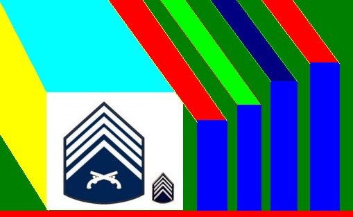 REGULAMENTO DE UNIFORMES DA PMRN: DIVISA DE SEGUNDO SARGENTO