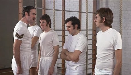 Ancient Celtic Literature ENG316