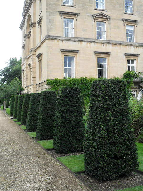 Worcester College Gardeners 2009-2018: Tidying The Yew Columns