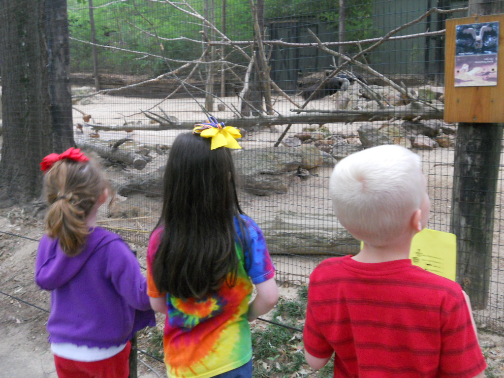 Burkett Blessings: Field Trip to the Zoo