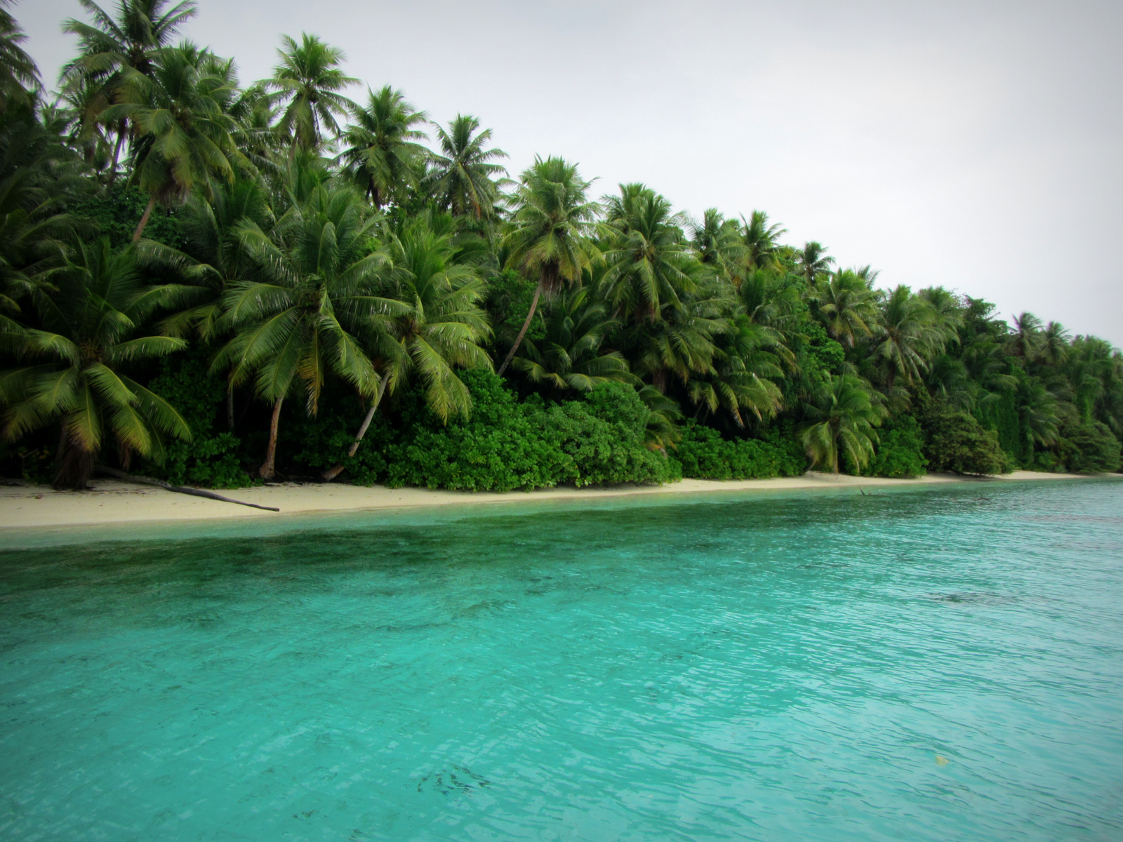 Every Day Is Special: September 11 – Liberation Day in Pohnpei