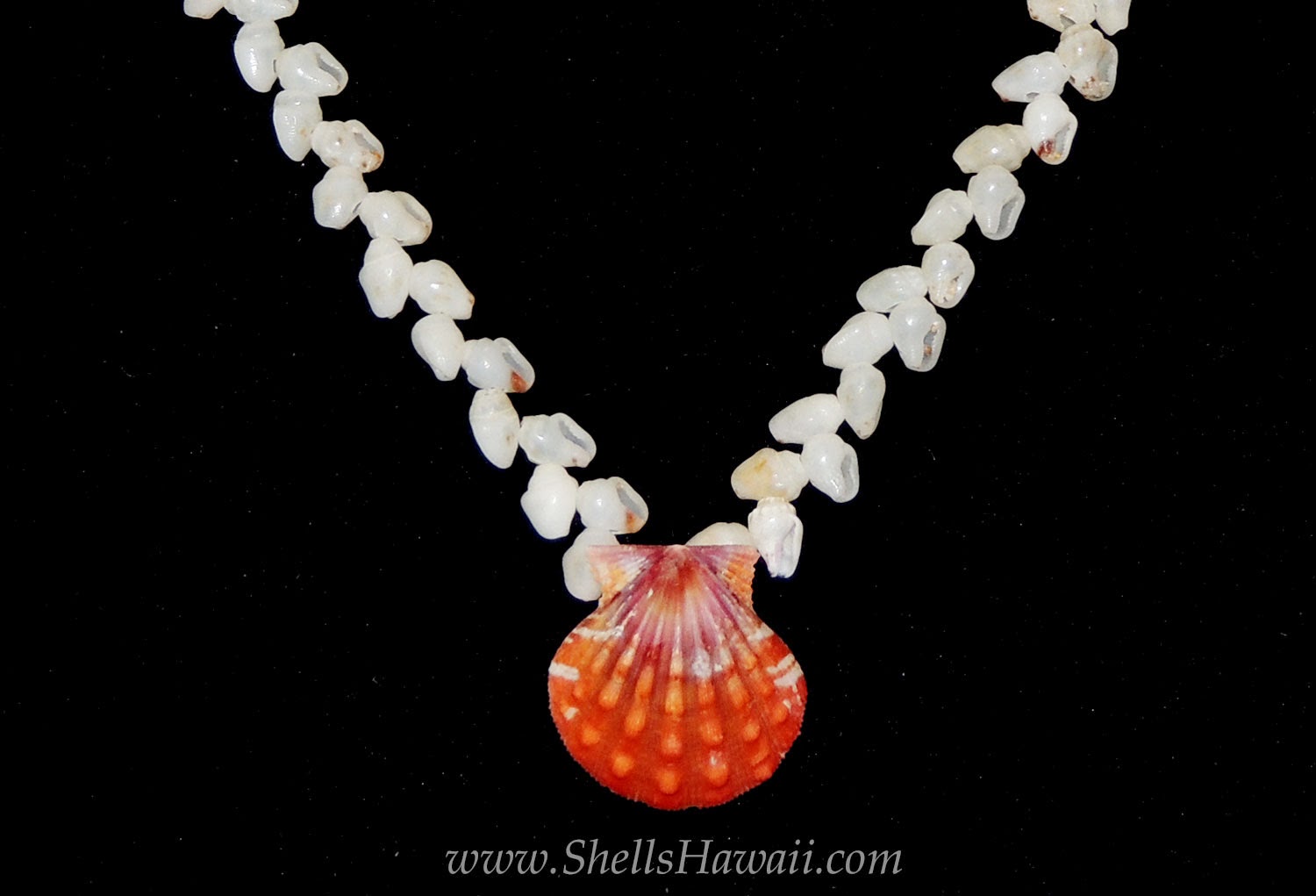 Kahelelani & Sunrise shell jewelry by.... Janjira: Hawaiian shell jewelry