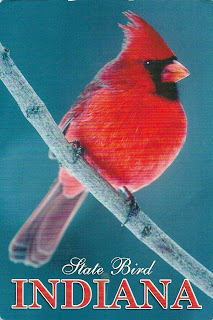 Projek Satu Dunia (One World Project)™: U.S.A. - Indiana - State Bird