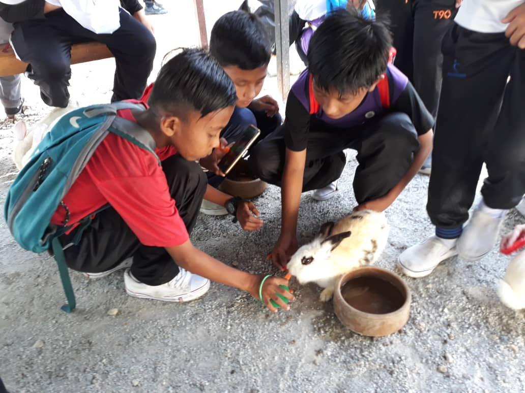 PSS SK Taman Desa 2 Rawang: LAWATAN SAMBIL BELAJAR KE G2G ANIMAL DAN ...