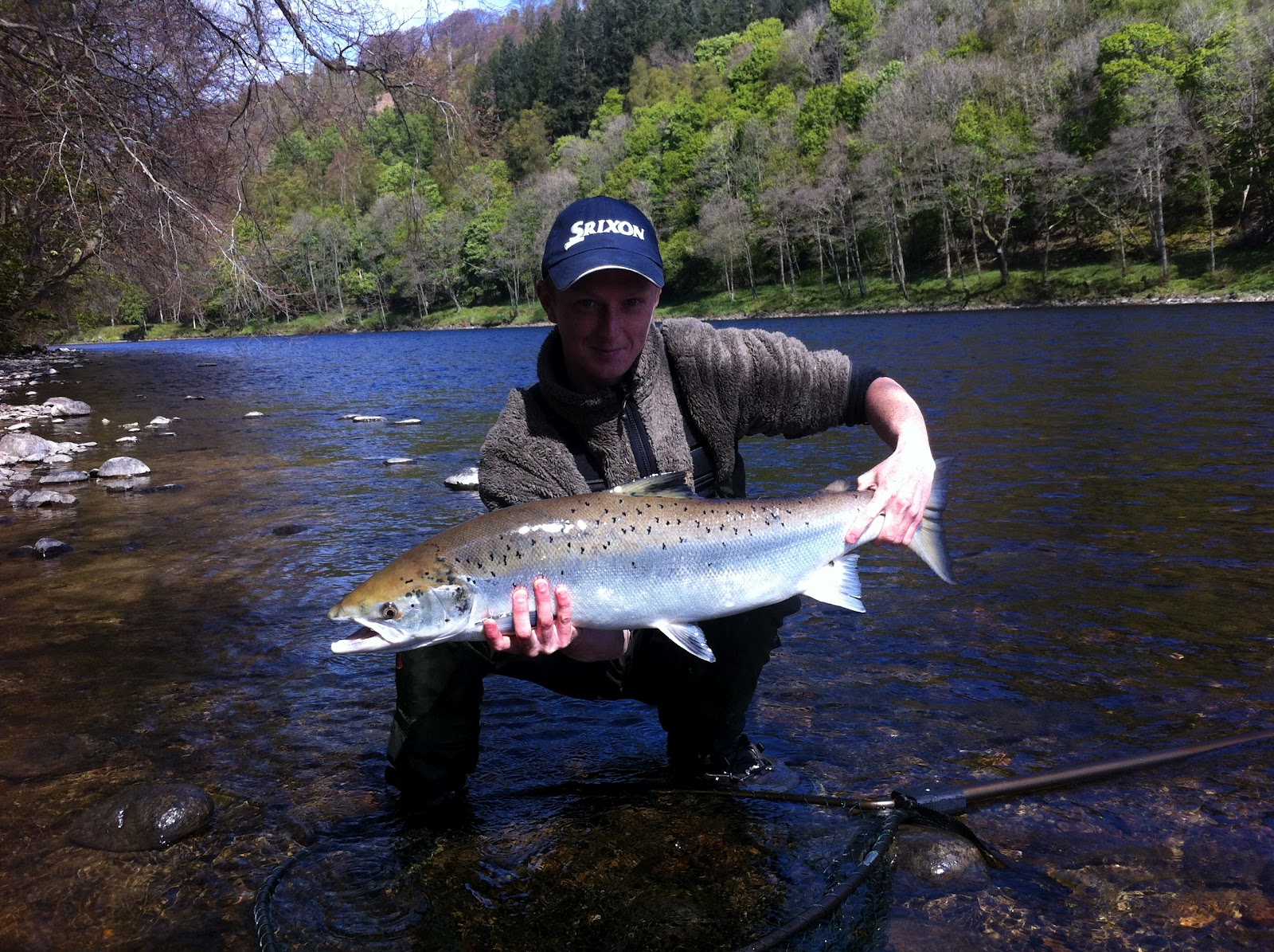 Newtyle Salmon Fishings: 15lb Tay Springer