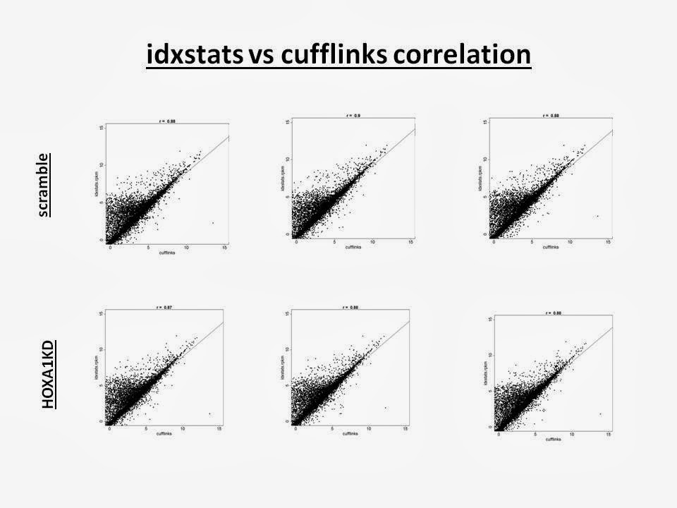 Charles Warden's Science Blog: mRNA Quantification via eXpress
