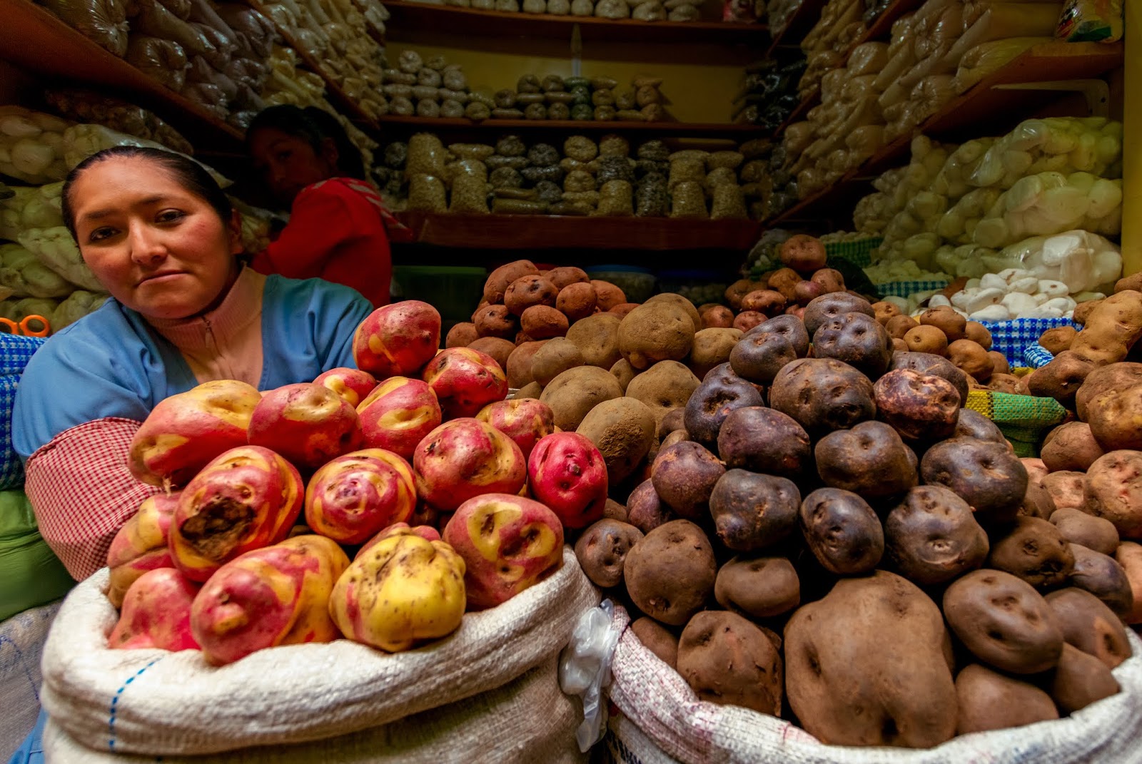 eScienceCommons: 'Potato gene' reveals how ancient Andeans adapted to ...