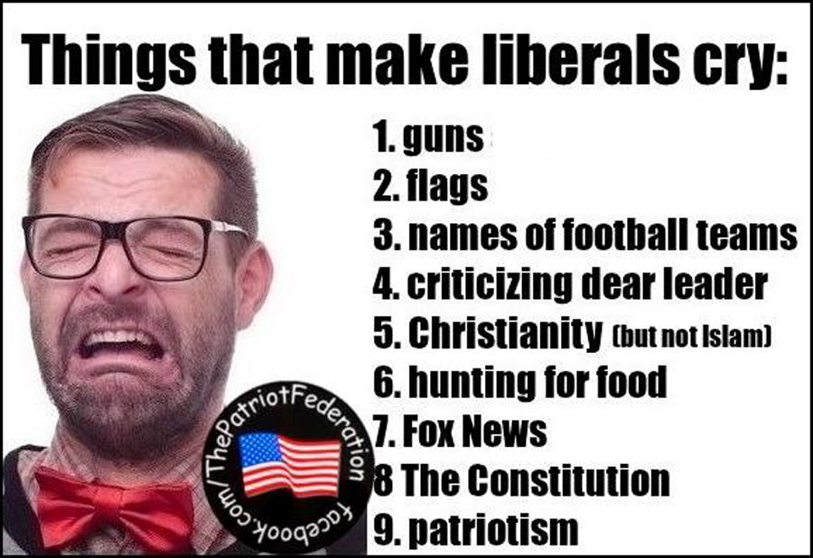 Presumptuous Politics: Liberals Cry Over Everything Cartoons