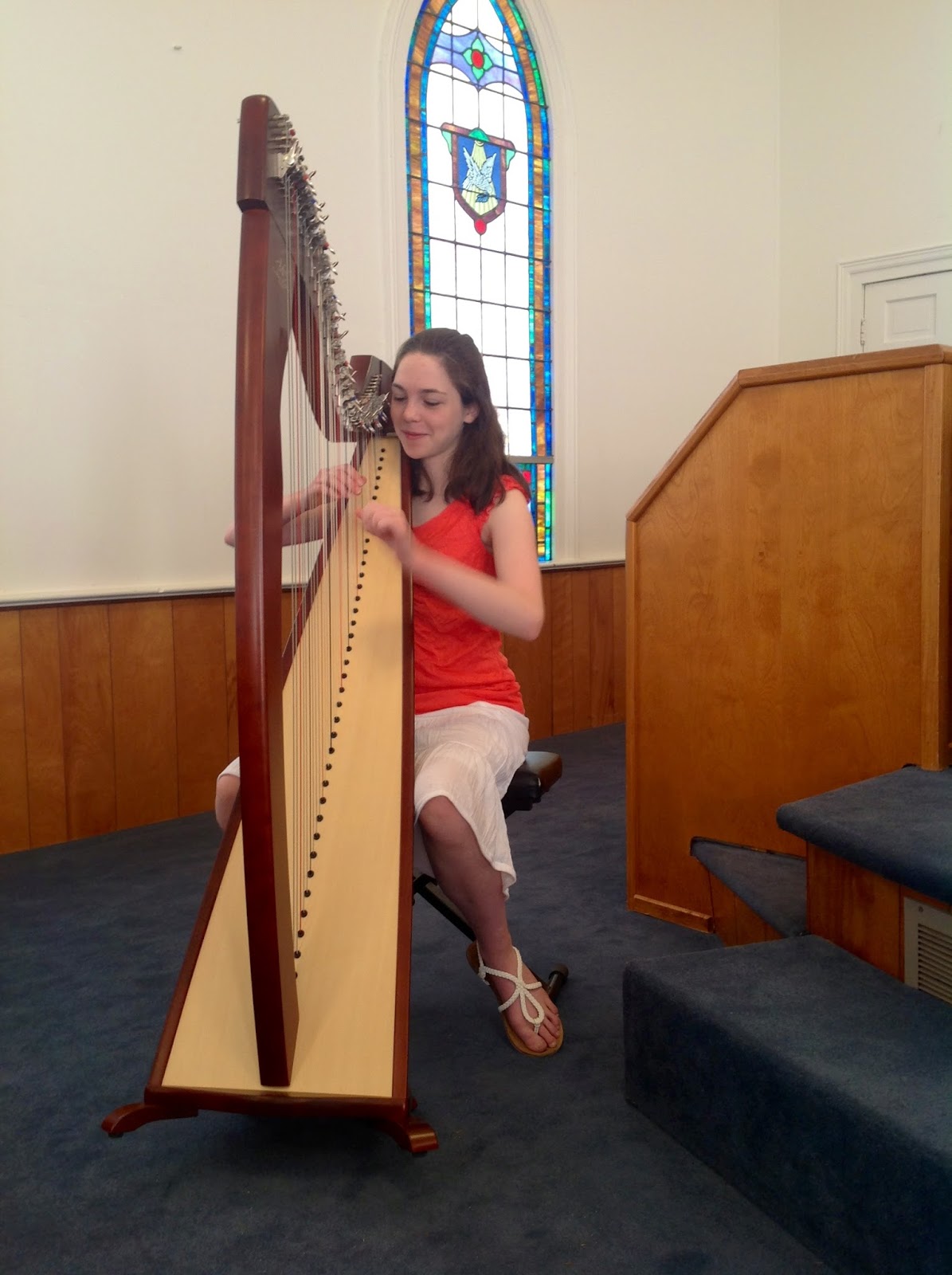 Eager Eyes of Blue: Family Blog: Homeschool High School Begins