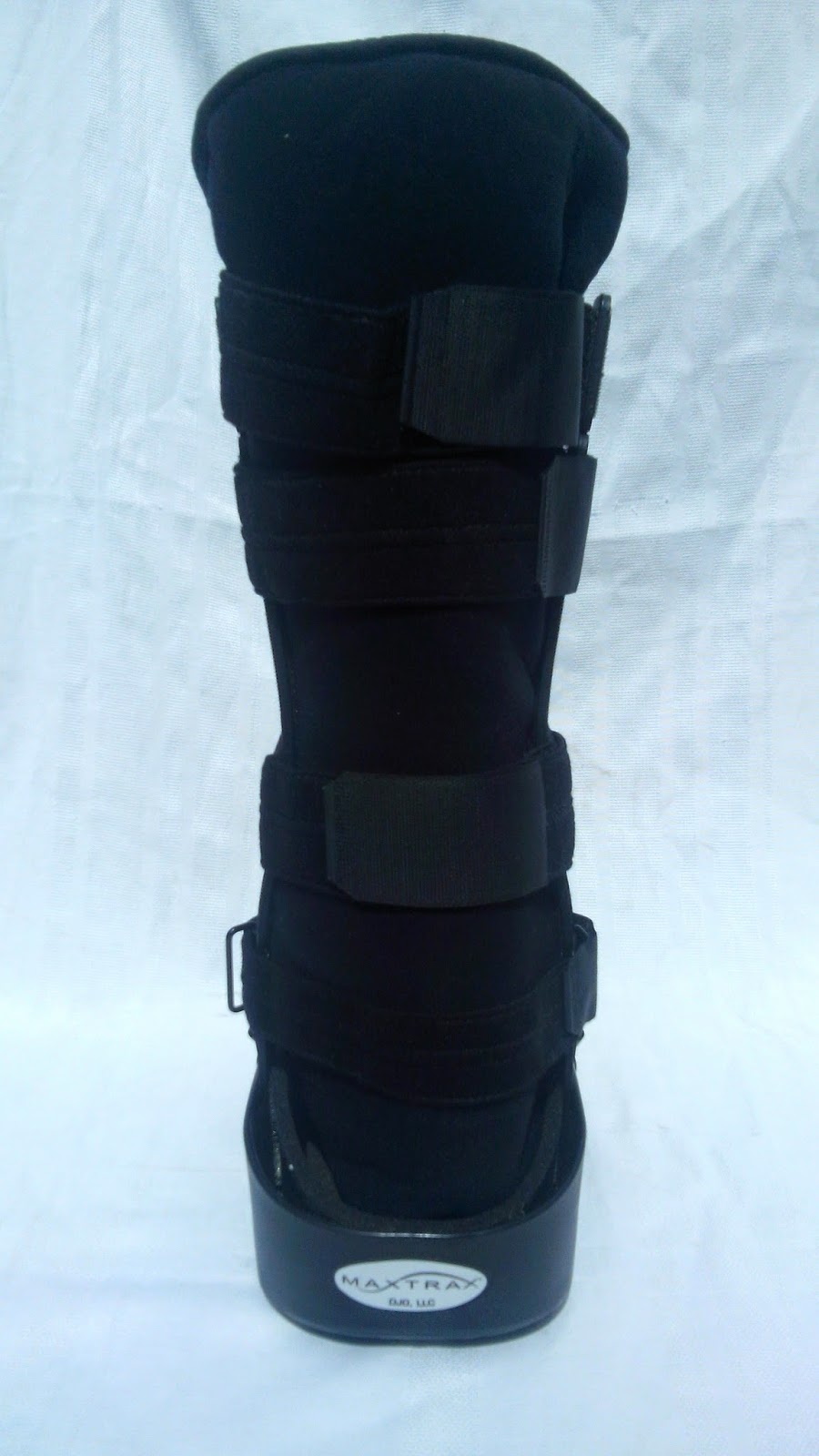 malinali: ferula neumatica L