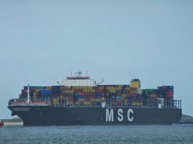 Scheepvaarthoek: MSC Gaia