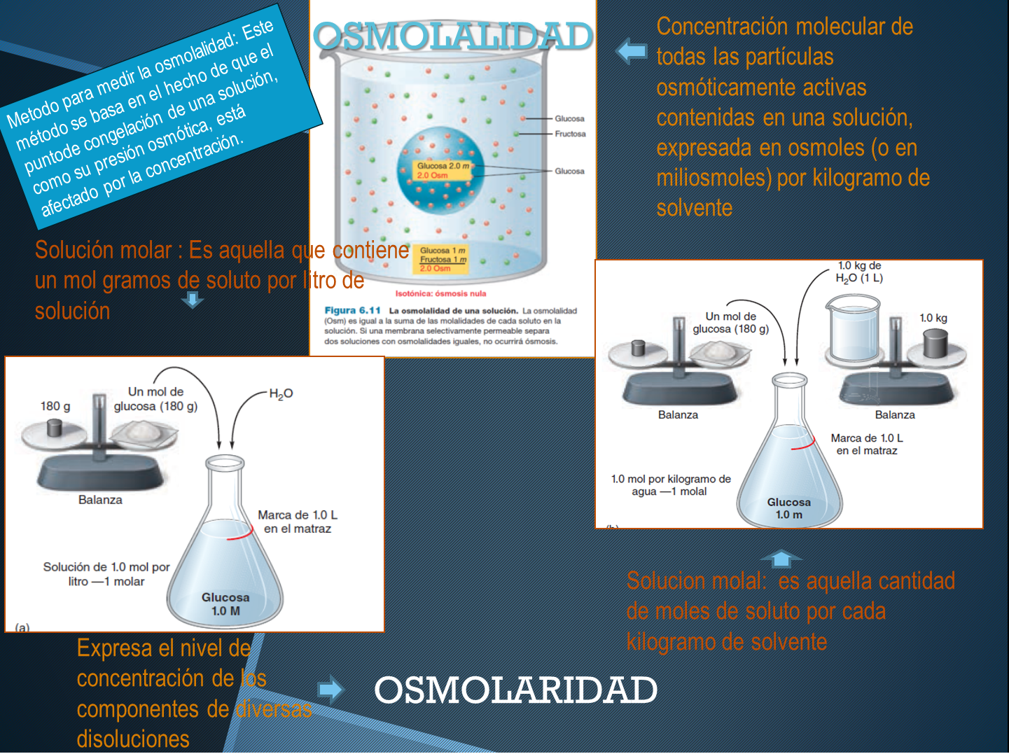 Fisiologia UAS de Gilfredo Enrique Castro Alcantar : Osmolalidad y ...