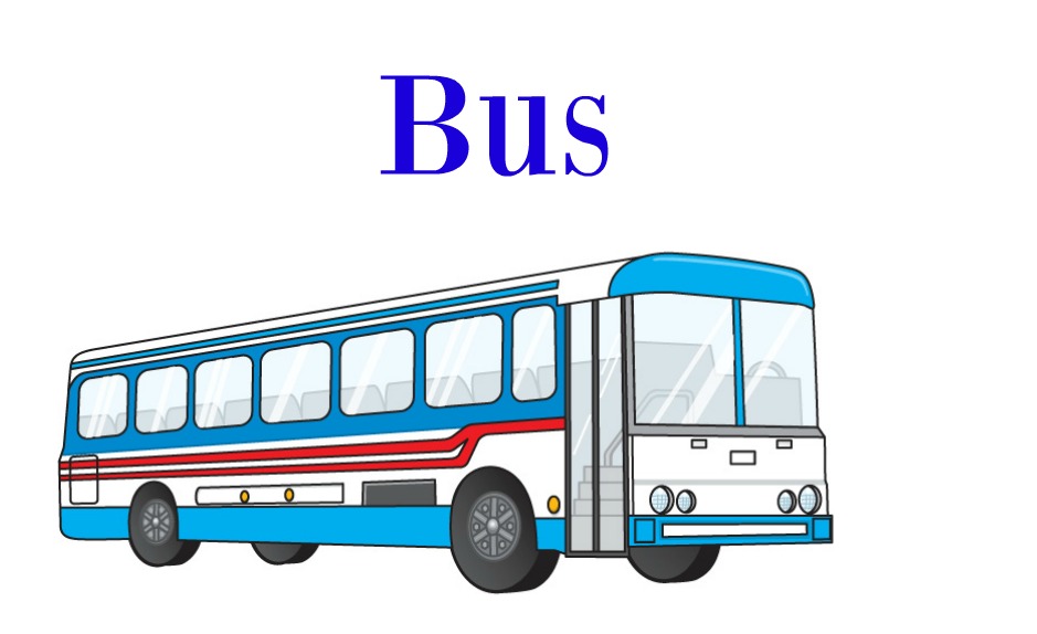 Word of the Week -Bus - Raisie Bay