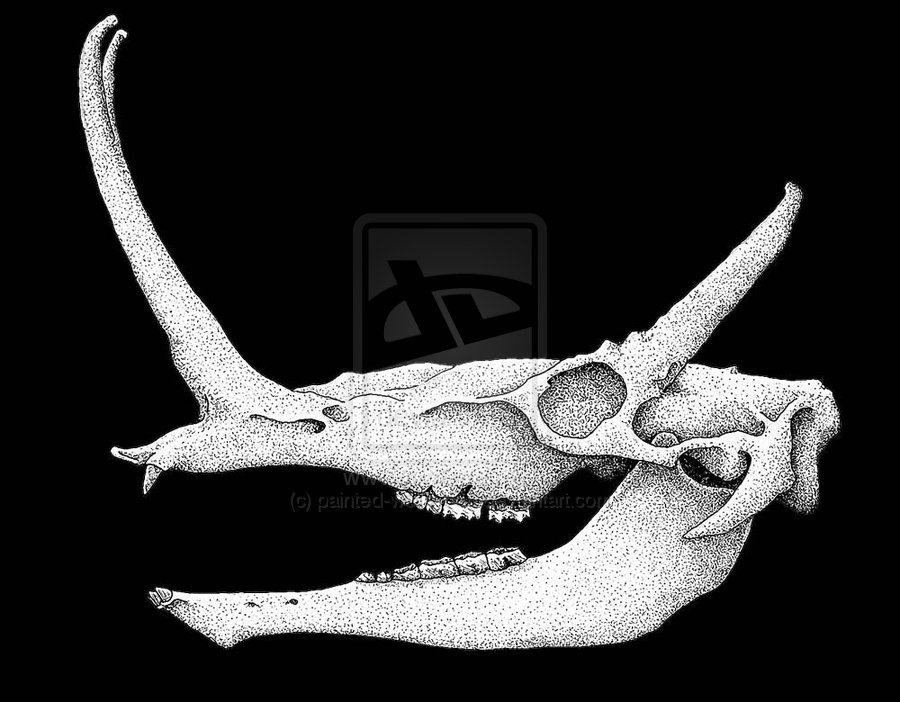 Escenarios prehistóricos: 12/16/11