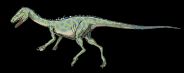 Dinosaur info: Noasaurus