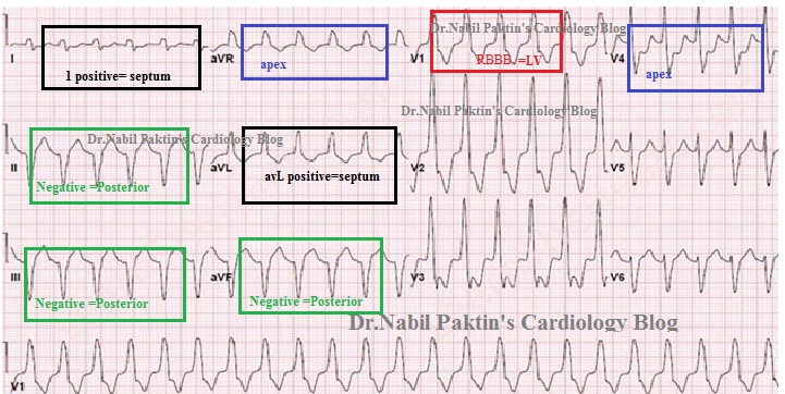 Dr.Nabil Paktin's Cardiology Blog مجله کاردیولوژی دکتور نبــیل پاکطـین ...