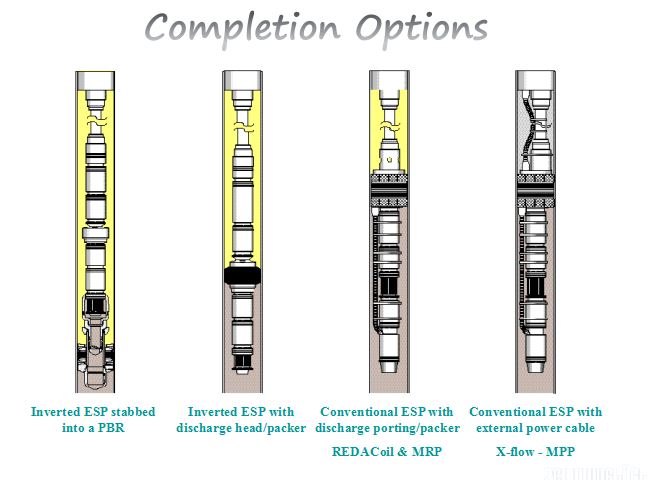 Electric Submersible Pumps Alternative Deployed ESP Systems