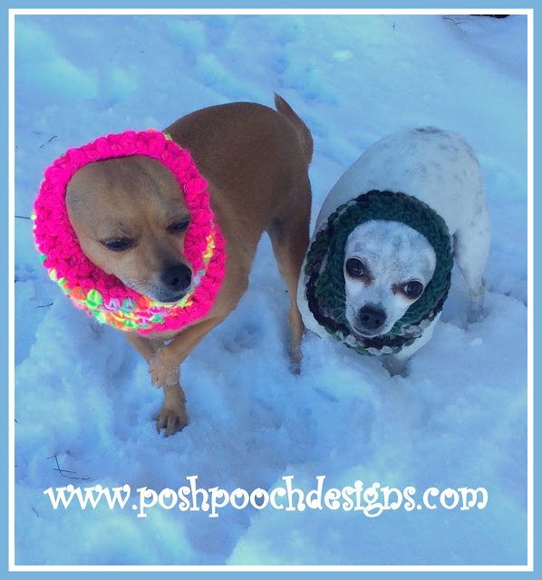 Posh Pooch Designs : Dog Snood Crochet Pattern - For All Size Dogs