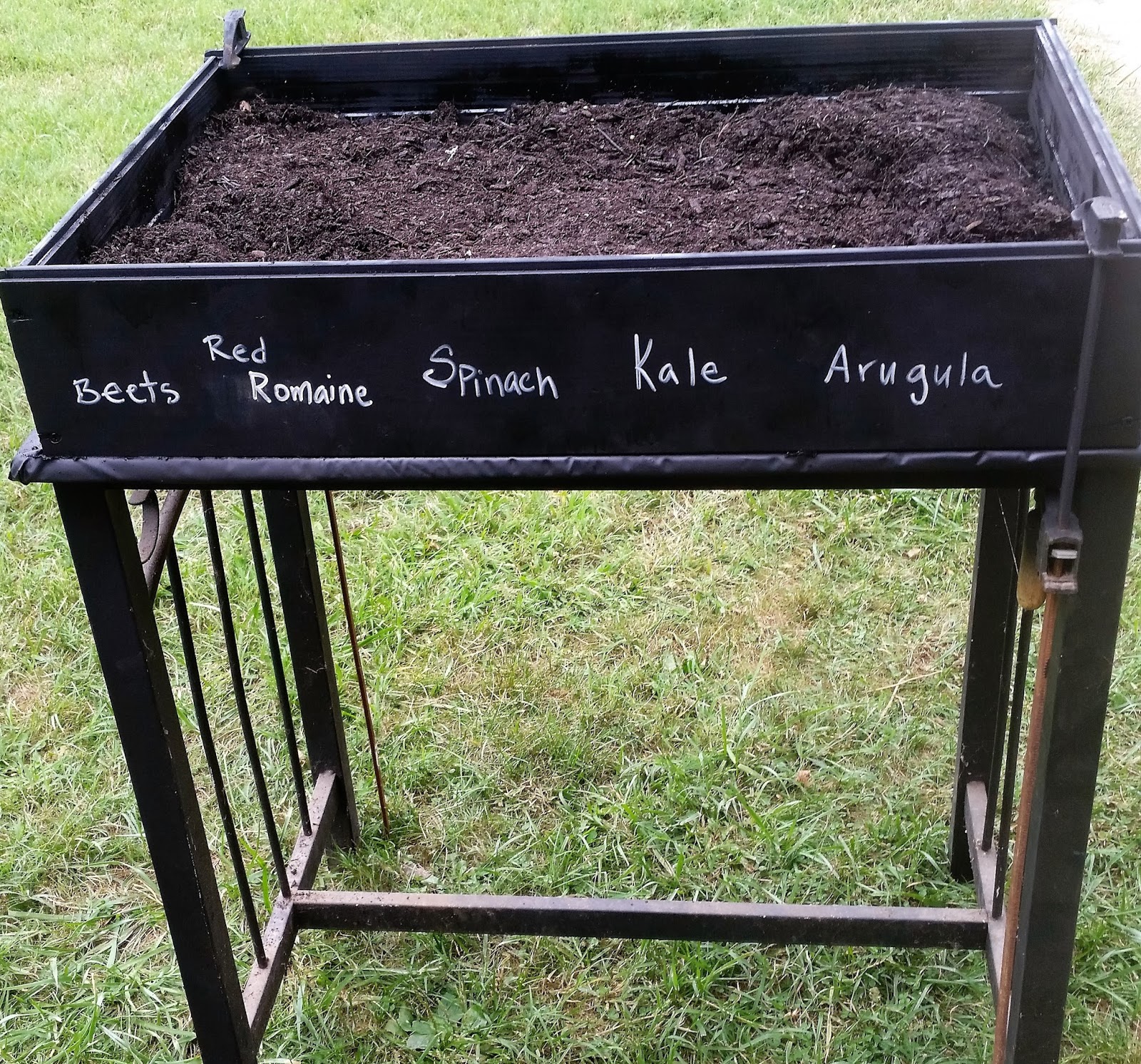 Jones' Acre Musings: How to build a lettuce table...the easy way.