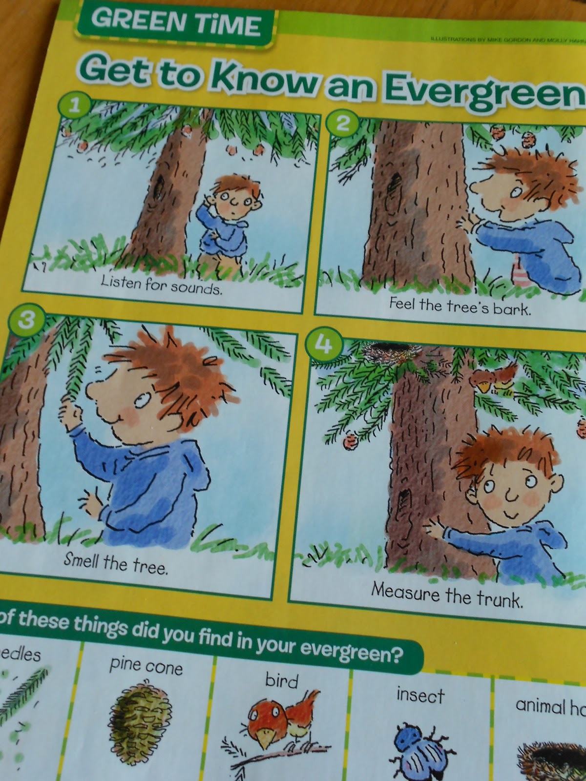Ranger Rick Jr Magazine - Review - Homeschool Nature Study
