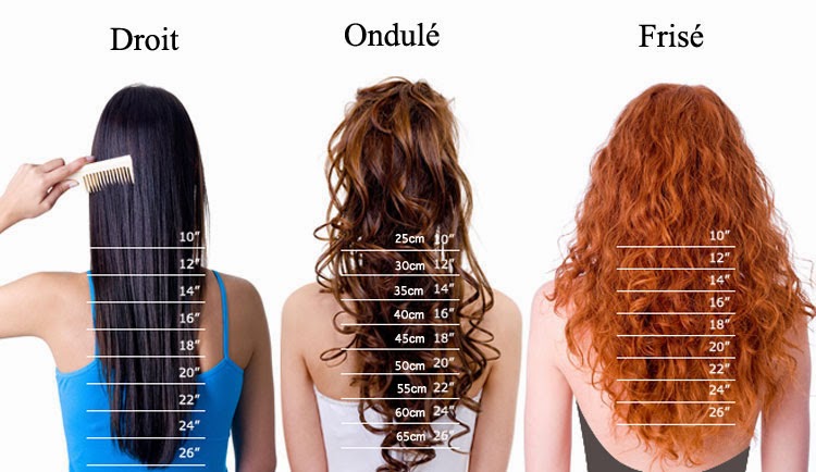 Pomo: 1er article: Les types de cheveux