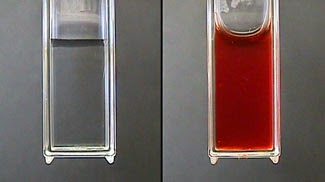 Uji Seliwanoff - EDUBIO