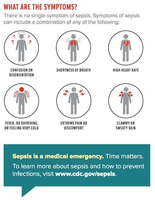 Patient Safety Blog - Lubin & Meyer PC: Sepsis: Raising Awareness of ...