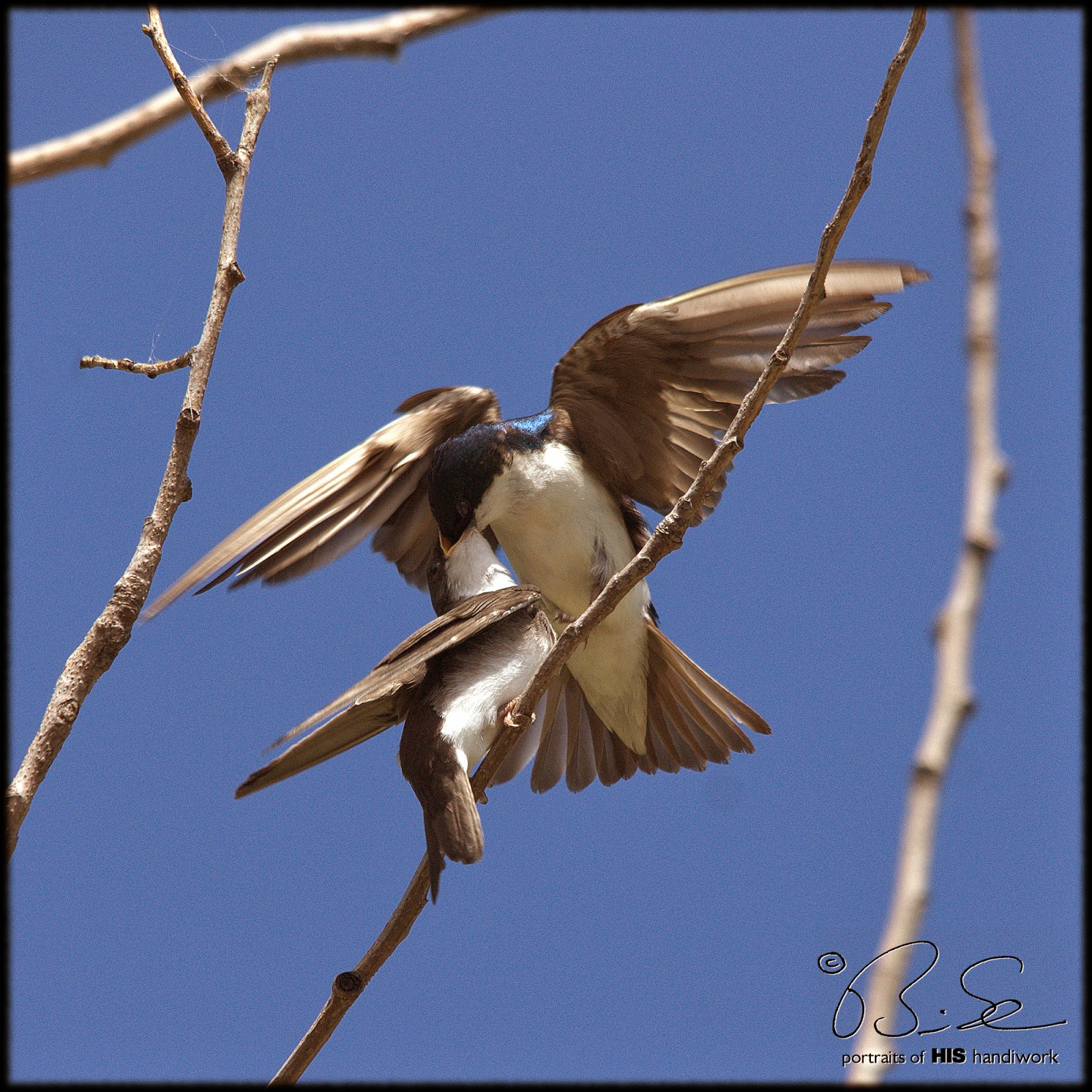 portraits of HIS handiwork: Catching up from the Summer - Valley Inn Road