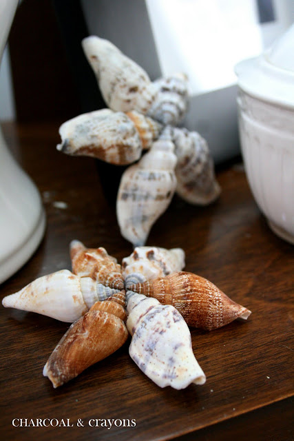 Charcoal and Crayons: Super Simple Seashell Stars