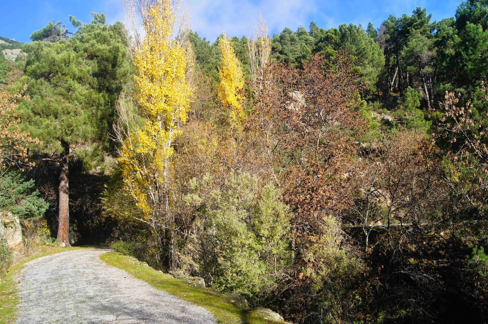 ENTORNO ESCORIAL: LA BELLEZA DEL MONTE ABANTOS EN OTOÑO