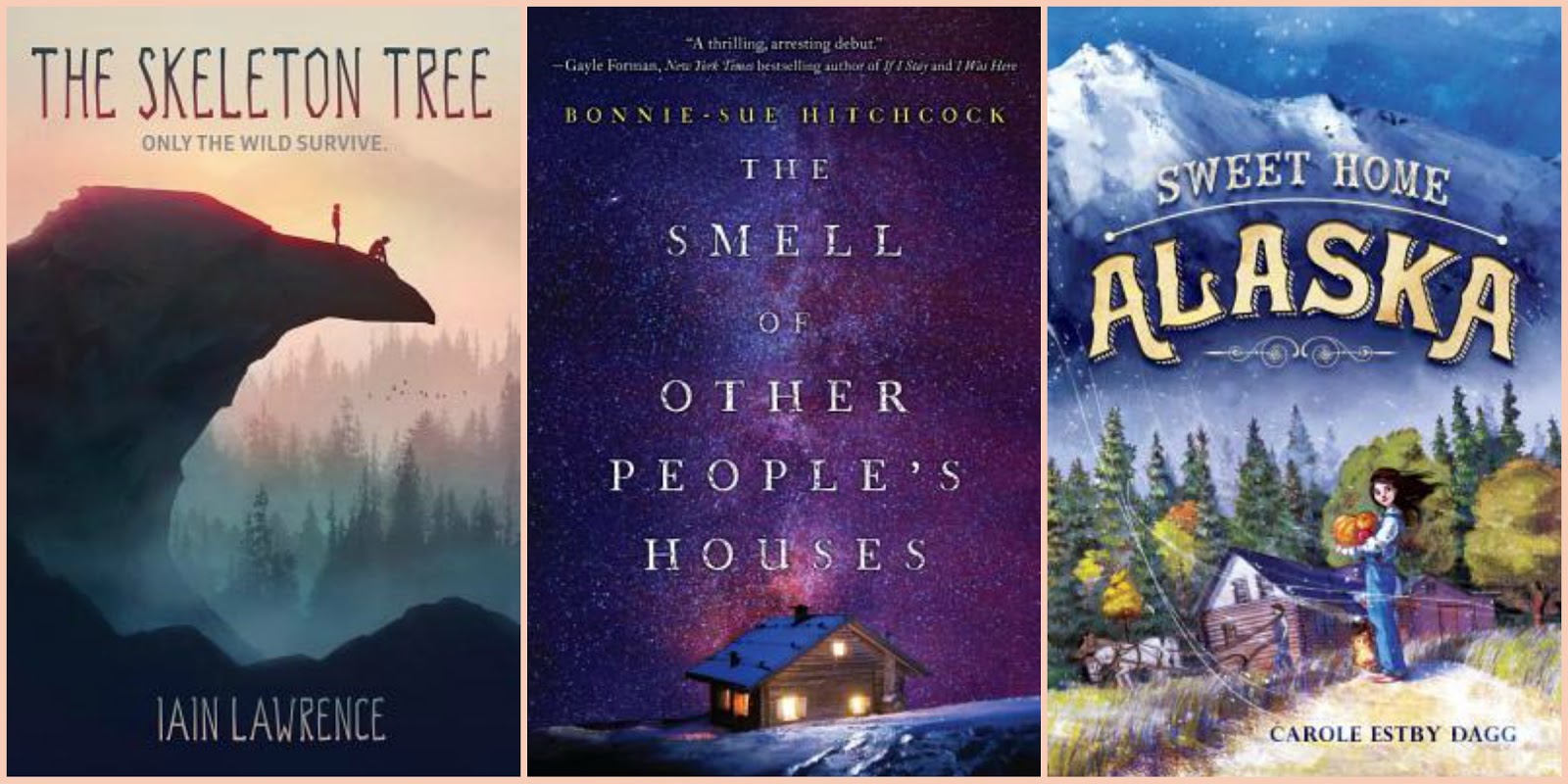 Beth Fish Reads: 5 Books Set in Alaska