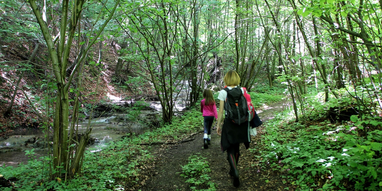 Putovanja, planinarenje i skijanje (Traveling, mountaineering and ...