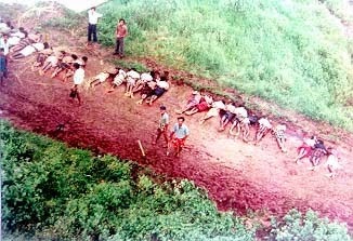 New Item: Few of the Atrocities Done by LTTE