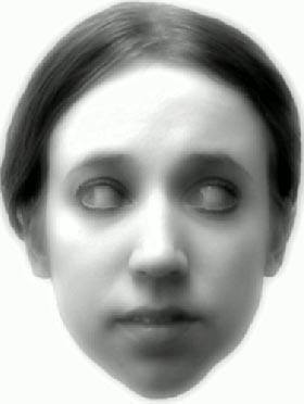 Scary Illusion...try!!! ~ Welcome to NewsRealTime