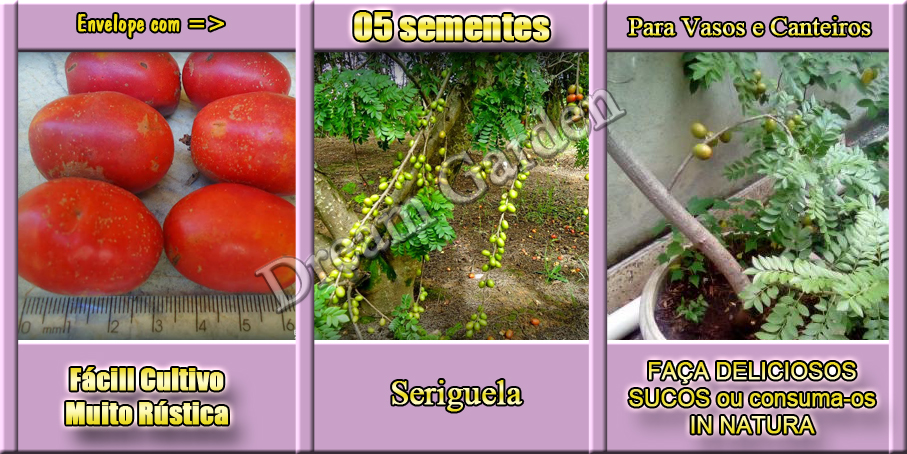 Seriguela - Spondias purpurea