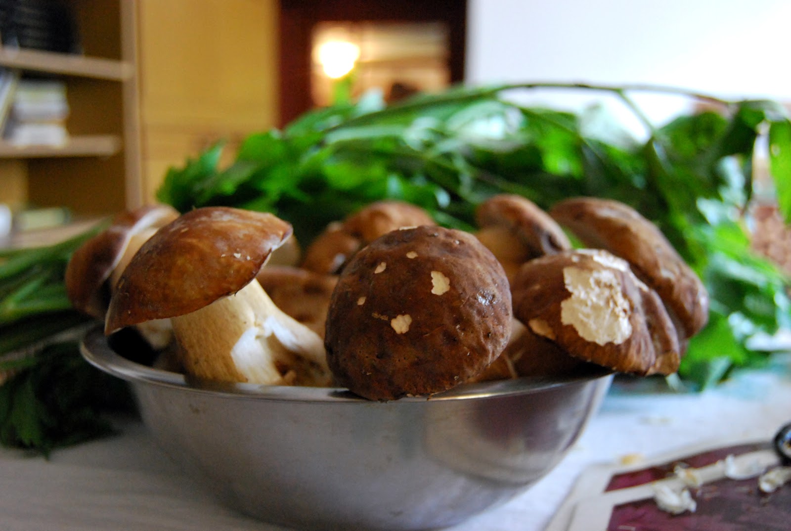 Jurnal de calatorii: Pădurea Tătăruși