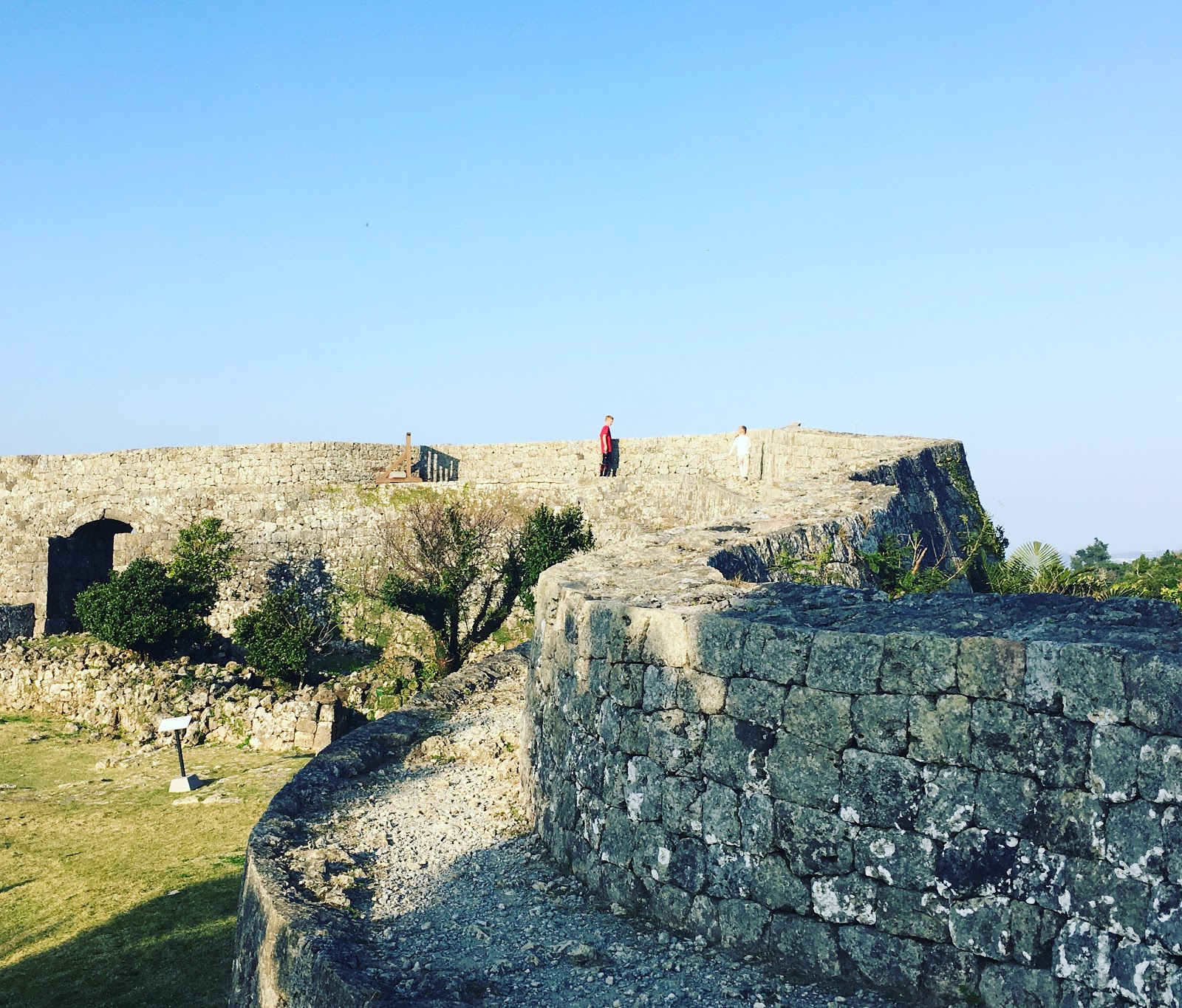 Sunflowers and Nakagusuku Castle! ~ Life with the Lokeys