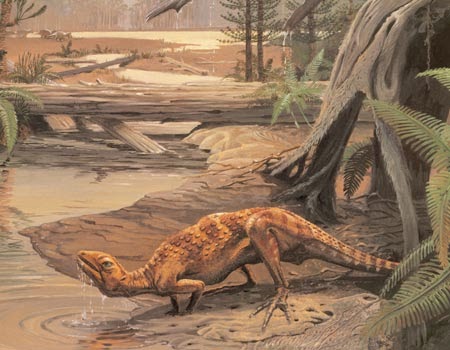 What happens when a non-accredited paleontology fan blogs: Prehistoric ...