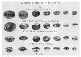 Biology Vocabulary Terms: Evidence of Evolution