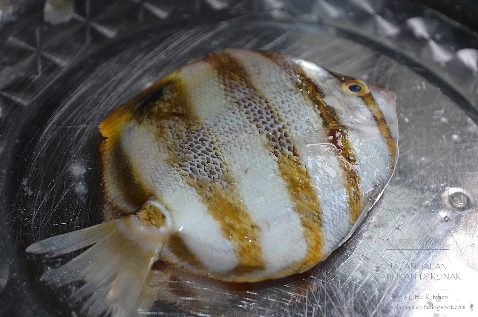 Jalan-Jalan Cari Ikan di Kunak - Amie's Little Kitchen