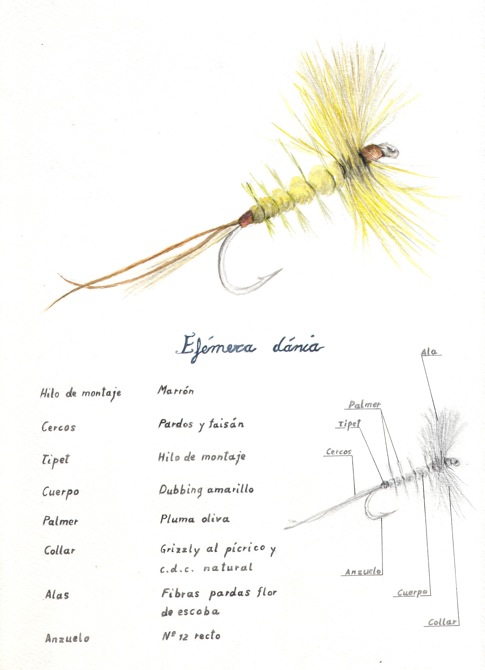 Artificial flies for fishing drawings and paintings: EPHEMEROPTERA